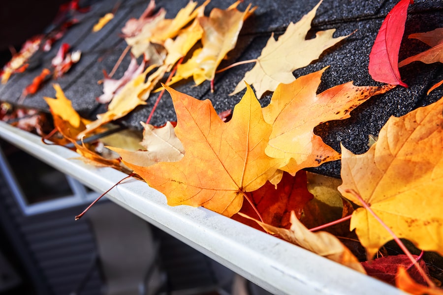 Top 10 Roofing Maintenance Tips - Elite Remodeling Services Top 10 Roofing Maintenance Tips - Elite Remodeling Services